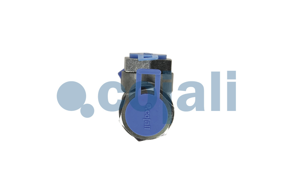 2207115 | 4342080020 | DOUBLE CHECK VALVE - Cojali Parts