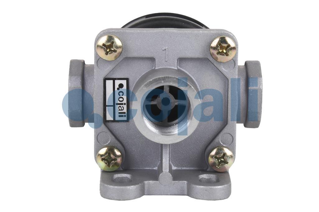 2221207 | 9735000450 | VALVOLA DI SCARICO RAPIDO - Cojali Parts