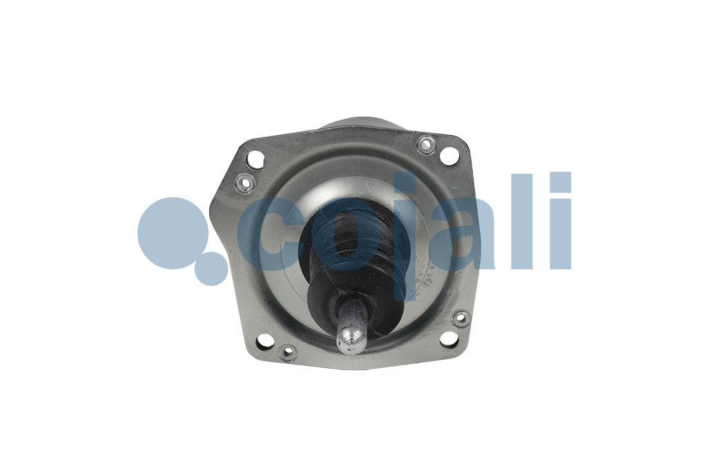 2250101 | 4700511140 | CLUTCH SERVO - Cojali Parts