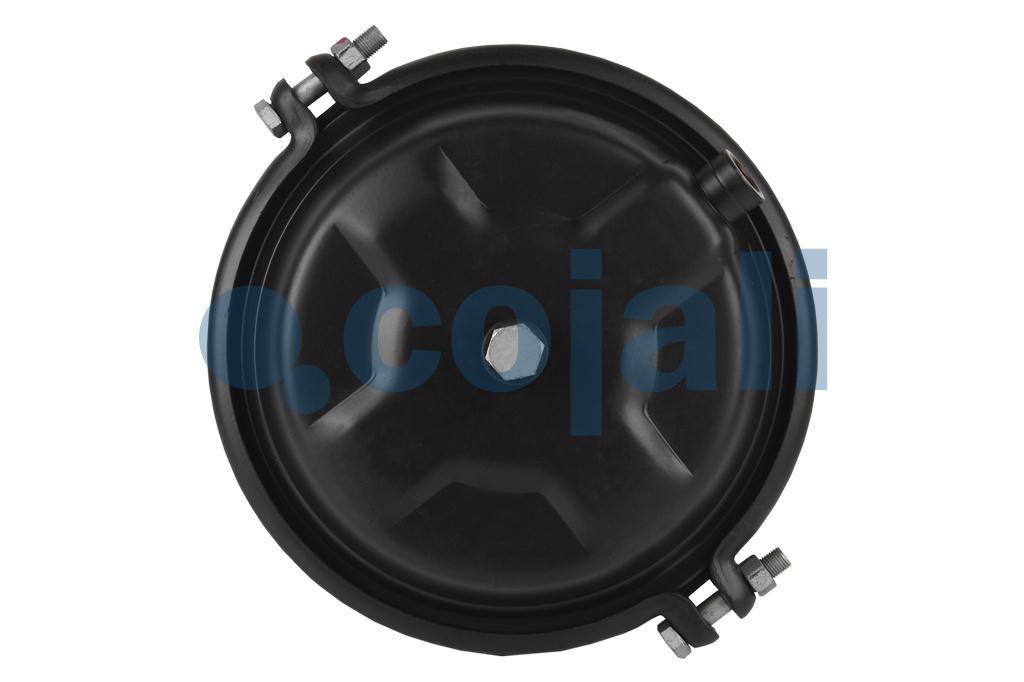 2251113 | 4230080990 | BRAKE CHAMBER T-36 - Cojali Parts