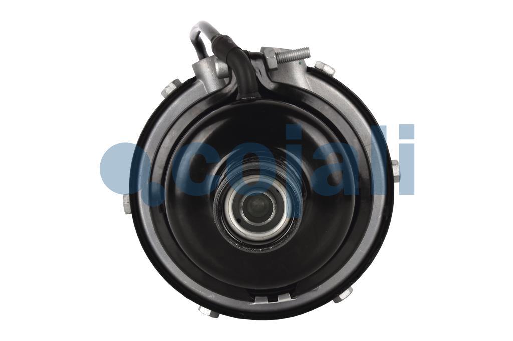 2251301 | 4253260520 | SPRING BRAKE (WEDGE BRAKE) 09/20 - Cojali Parts