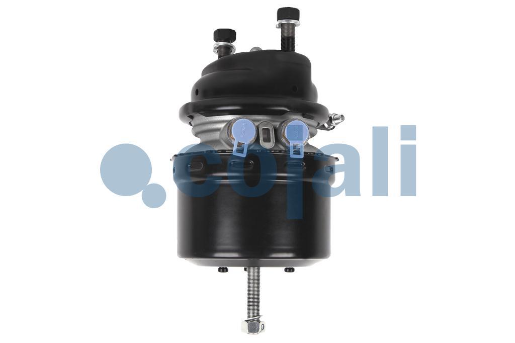 2251517 | 9254645010 | SPRING BRAKE (DISC BRAKE) 16/24 - Cojali Parts