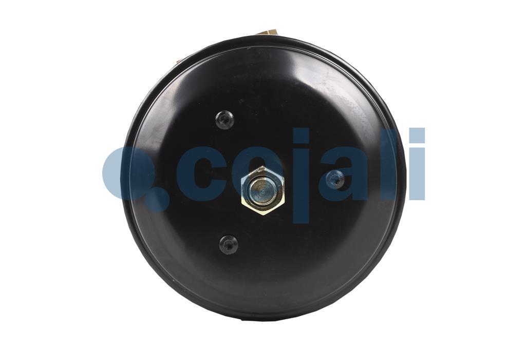 2251550 | 9254314210 | SPRING BRAKE (CAM BRAKE) 24/30 - Cojali Parts