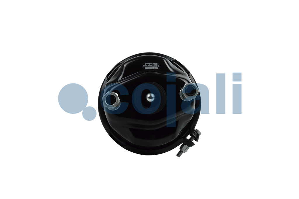 2251556 | BS8519 | SPRING BRAKE (DISC BRAKE) 24/14 - Cojali Parts