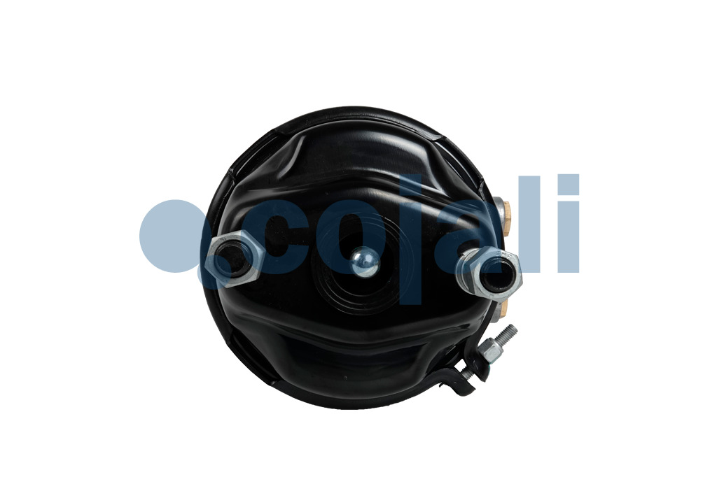 2251558 | 9254613200 | SPRING BRAKE (DISC BRAKE) 24/30 - Cojali Parts