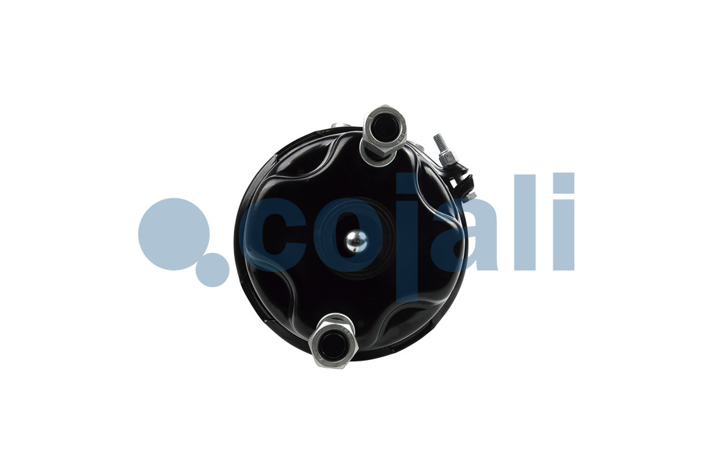 2251565 | 9254811000 | SPRING BRAKE (DISC BRAKE) 24/30 - Cojali Parts