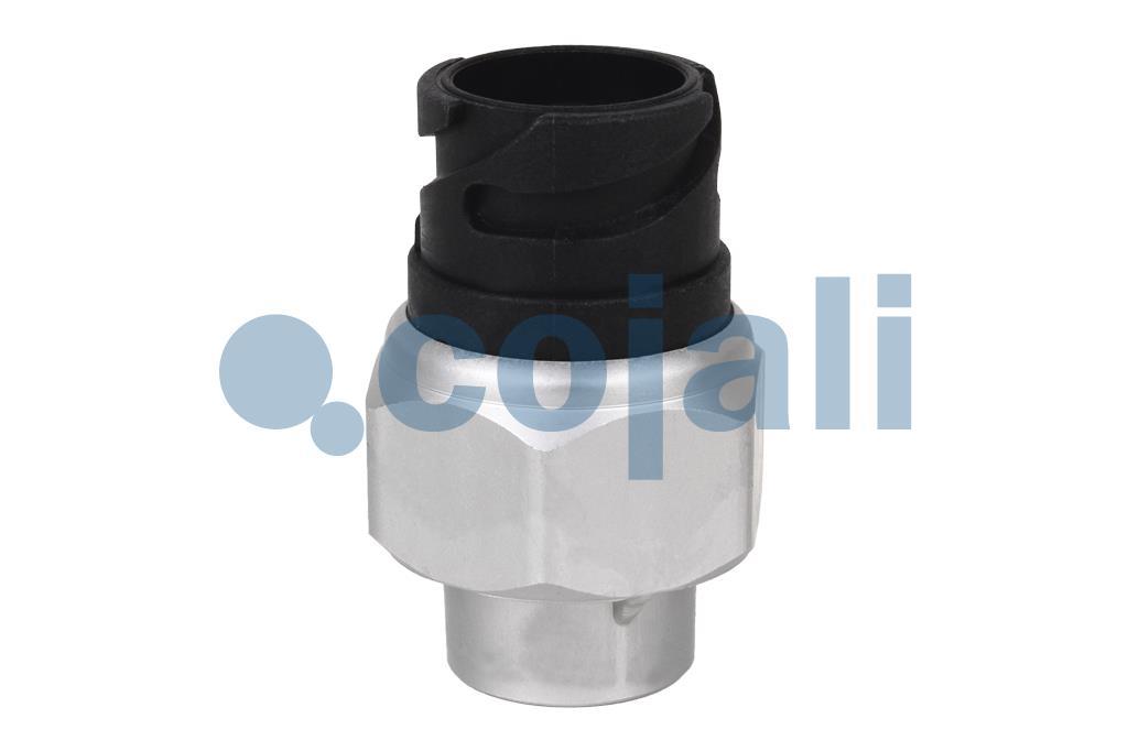 2260260 | 81255140036 | PRESSURE SWITCH - Cojali Parts