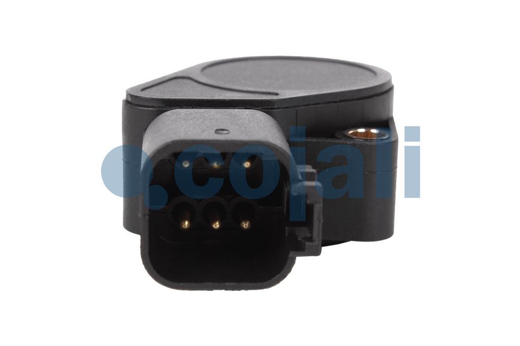 2260372 | 7482492421 | ACCELERATOR POSITION SENSOR - Cojali Parts