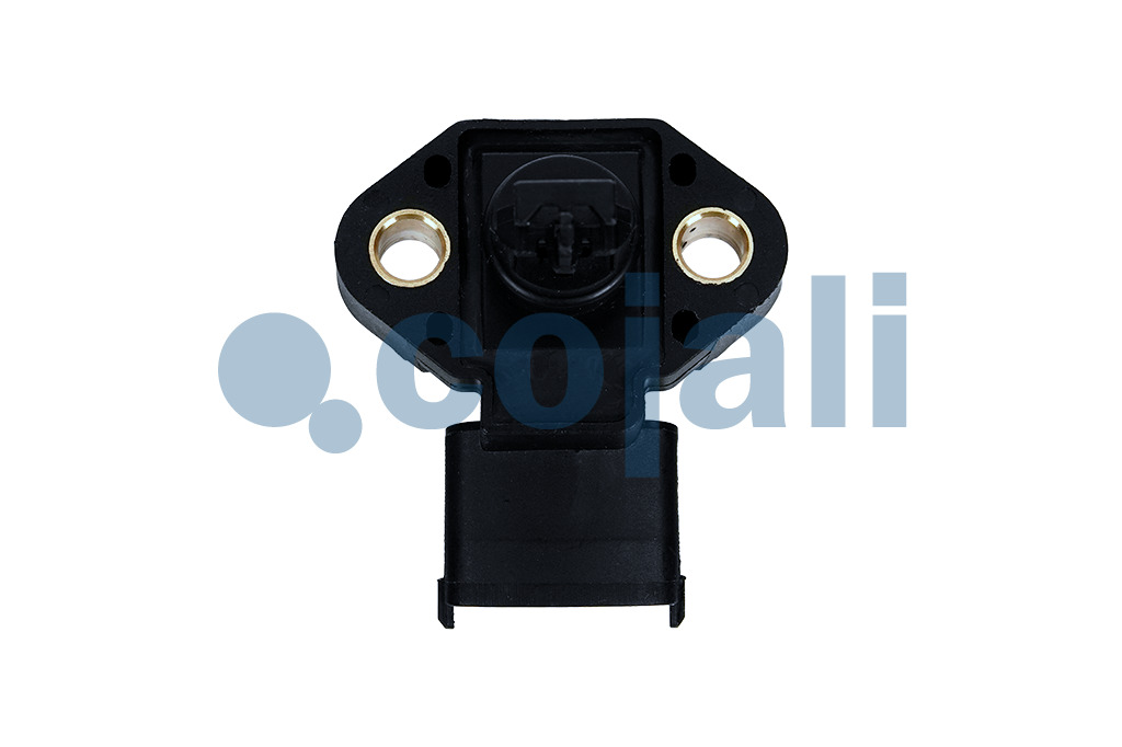 2260387 | 0041531828 | BOOST PRESSURE SENSOR - Cojali Parts