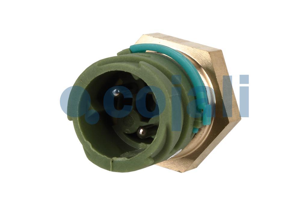 2260392 | 5010398073 | TEMPERATURE SENSOR - Cojali Parts