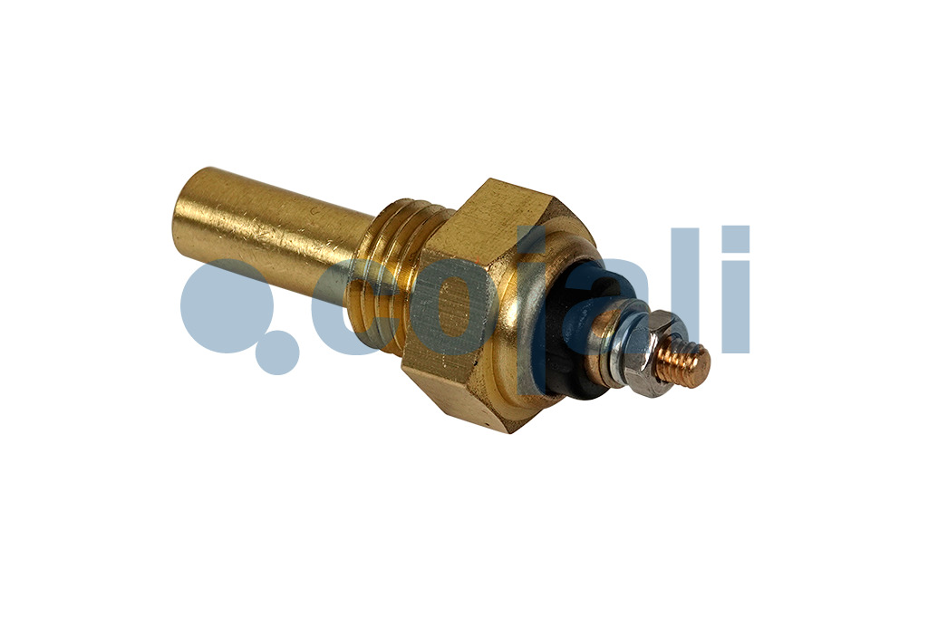 2260609 | 3455427717 | TEMPERATURE SENSOR - Cojali Parts