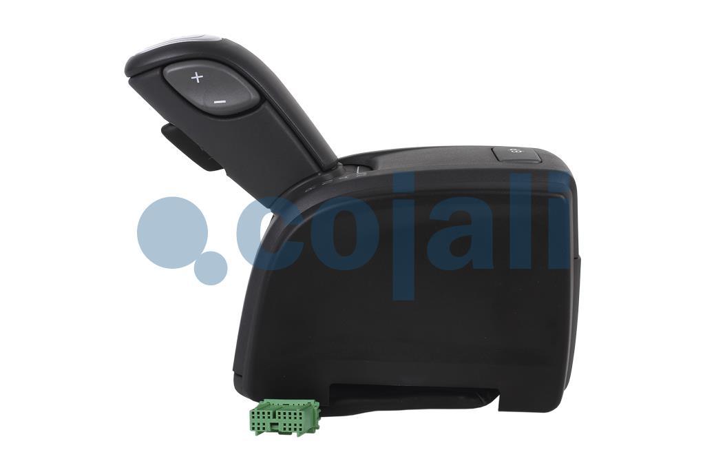 2260631 | 22583045 | AUTOMATIC GEARSHIFT - Cojali Parts
