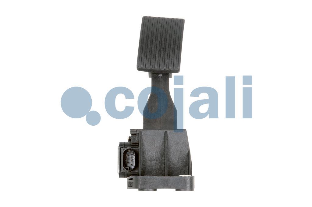 2260669 | 9603000004 | PÉDALE DE L’ACCÉLÉRATEUR - Cojali Parts