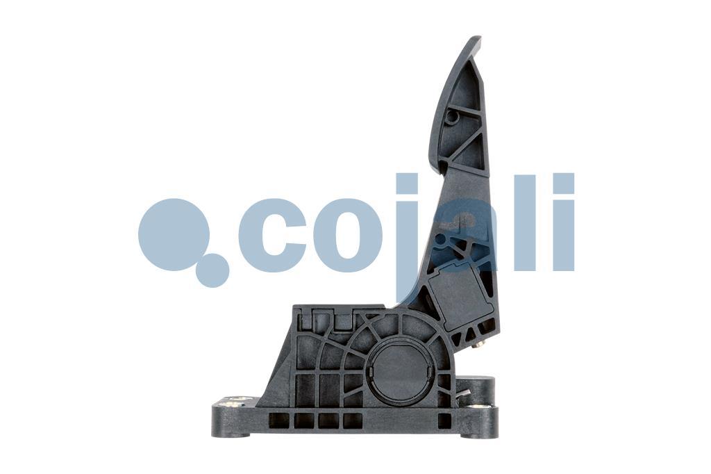 2260669 | 9603000004 | THROTTLE PEDAL - Cojali Parts