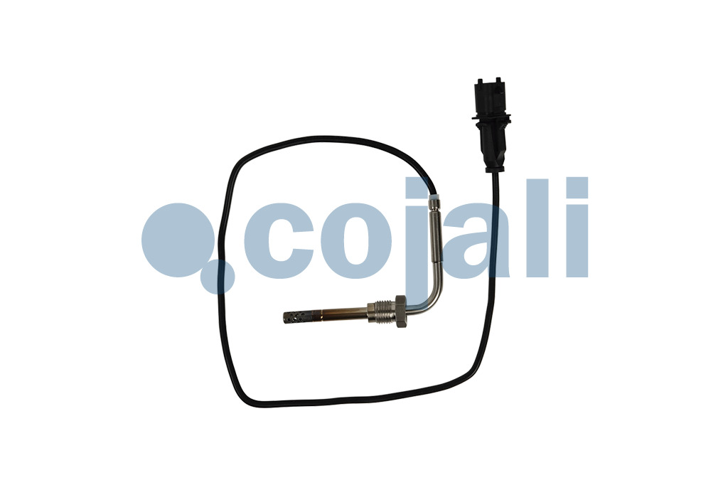 2260906 | 5801455940 | EXHAUST GAS TEMPERATURE SENSOR - Cojali Parts