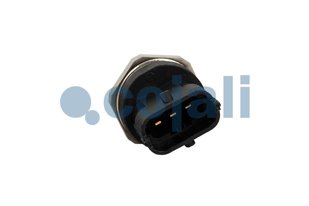 2260993 | 0281002405 | FUEL PRESSURE SENSOR - Cojali Parts
