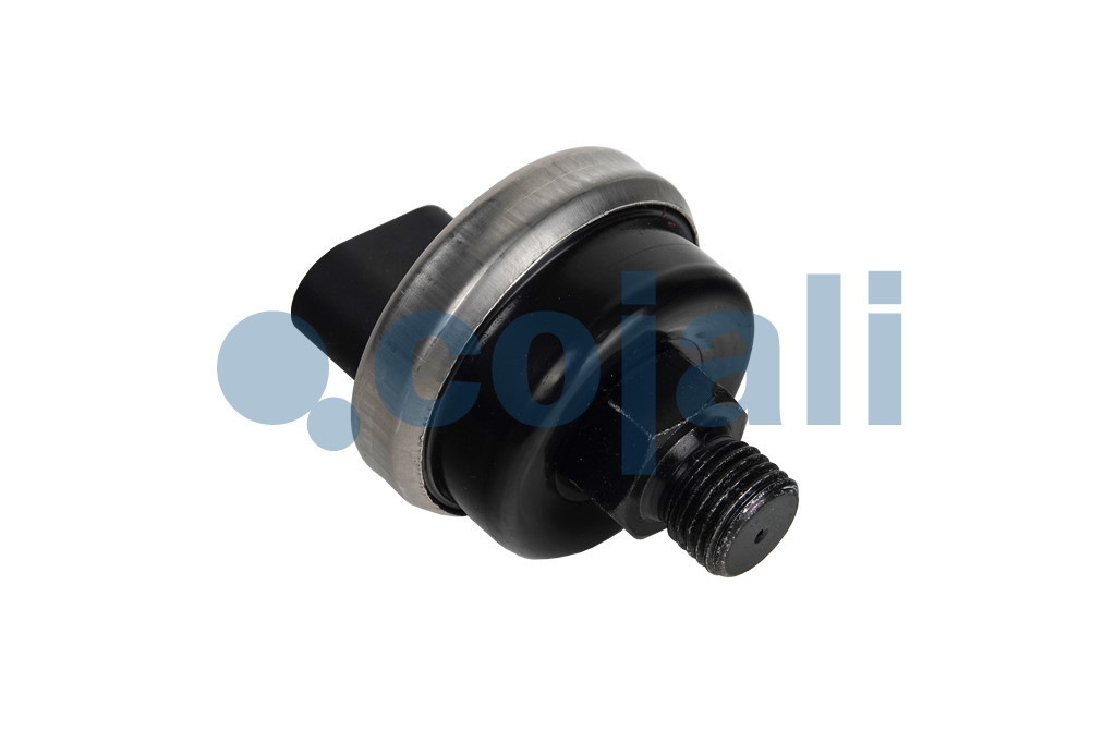 2260994 | 500042804 | OIL PRESSURE SENSOR - Cojali Parts