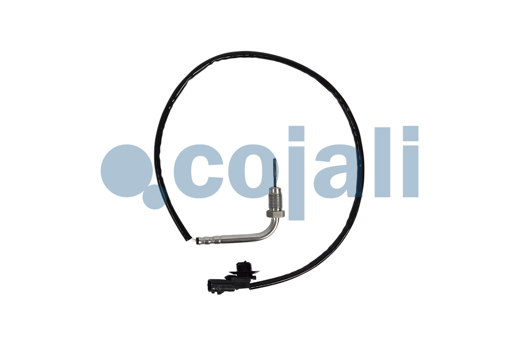 2262025 | 226407522R | EXHAUST GAS TEMPERATURE SENSOR - Cojali Parts