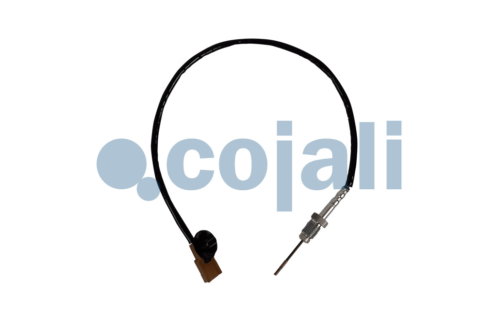 2262028 | 226405244R | EXHAUST GAS TEMPERATURE SENSOR - Cojali Parts