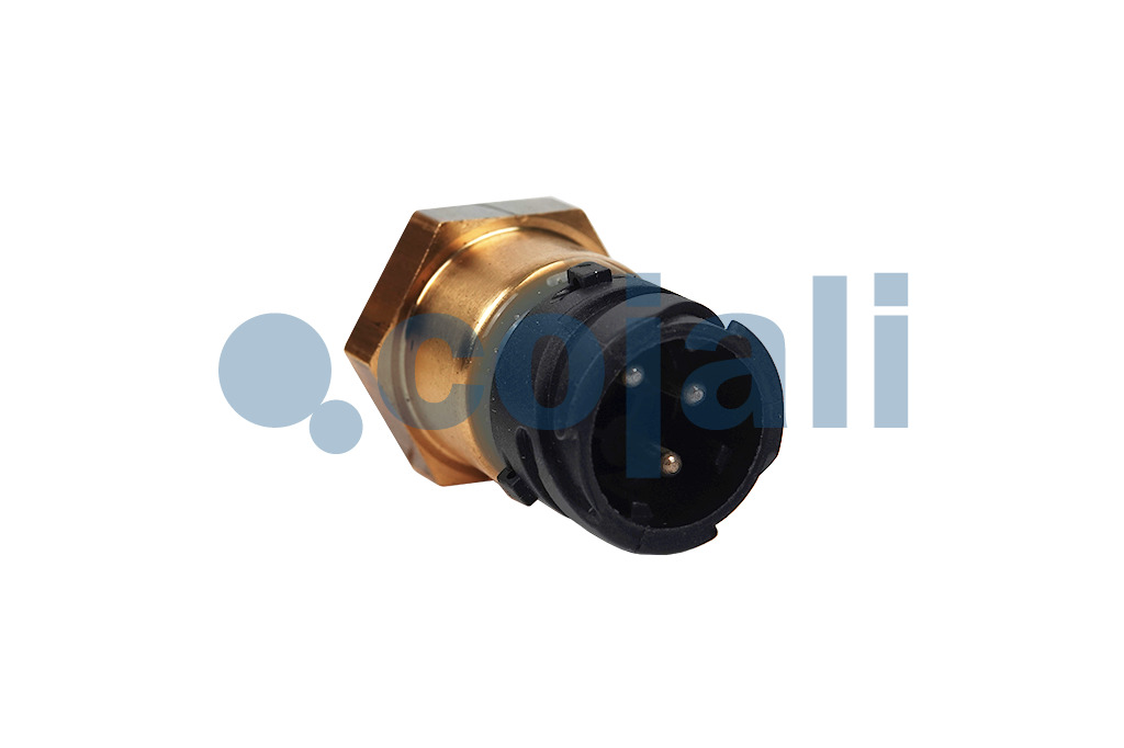 2262423 | 11038813 | OIL PRESSURE SENSOR - Cojali Parts