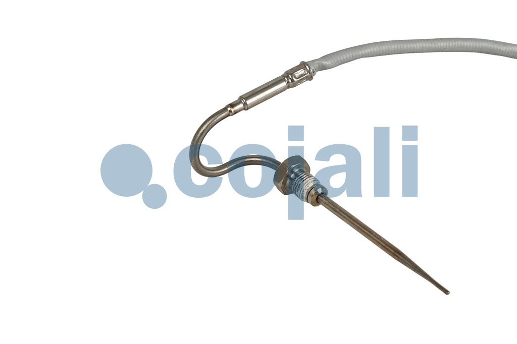 2262655 | 4307101 | EXHAUST GAS TEMPERATURE SENSOR - Cojali Parts