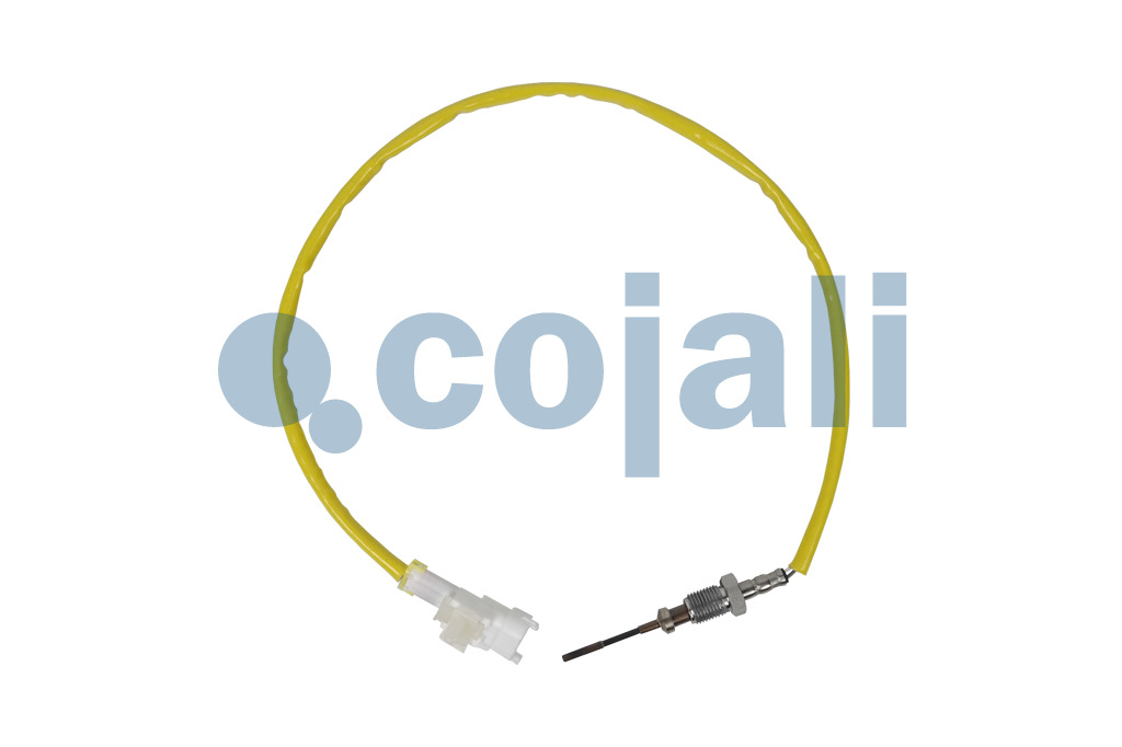 2262658 | 5801856537 | EXHAUST GAS TEMPERATURE SENSOR - Cojali Parts