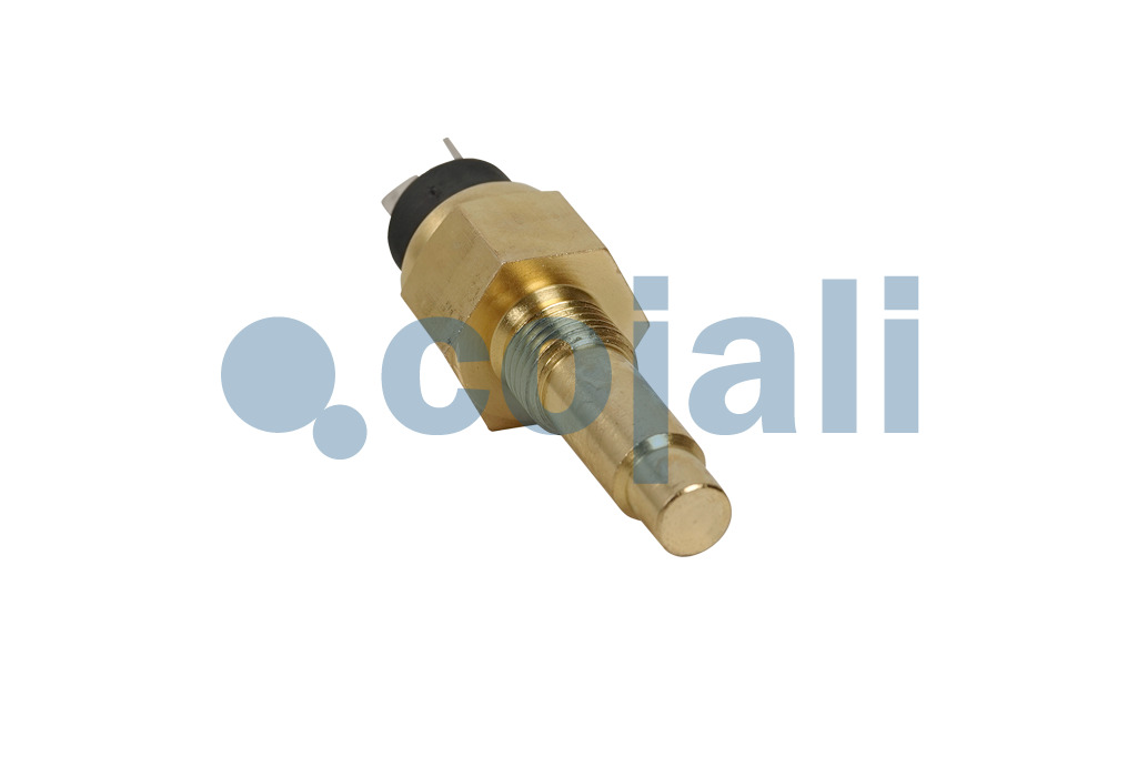 2262712 | 0025427317 | TEMPERATURE SENSOR - Cojali Parts