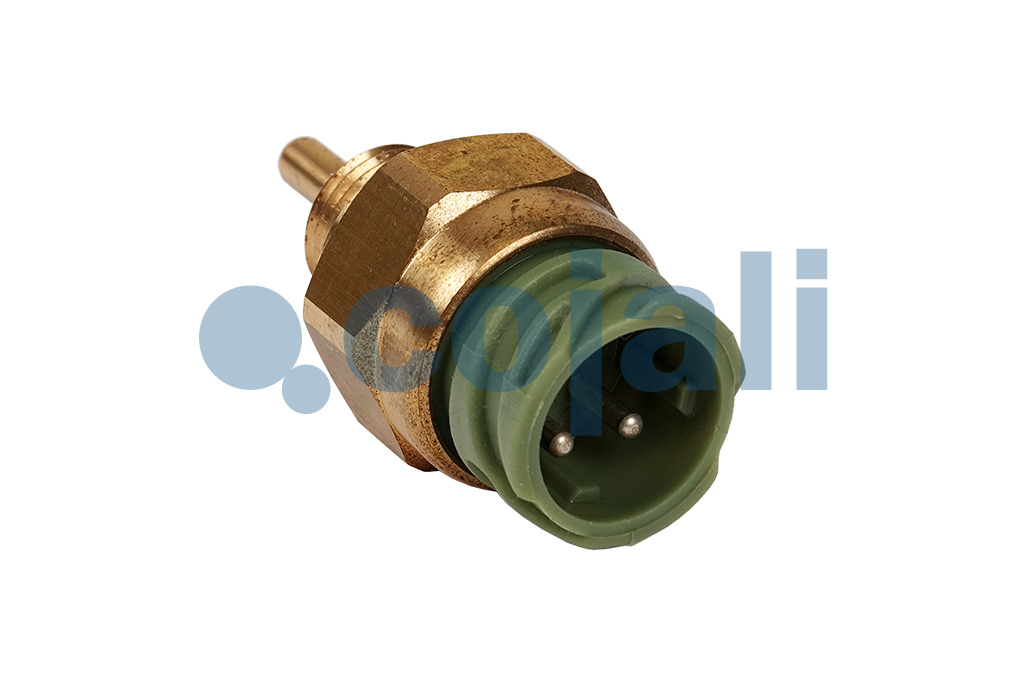2262752 | 1844101 | FUEL TEMPERATURE SENSOR - Cojali Parts