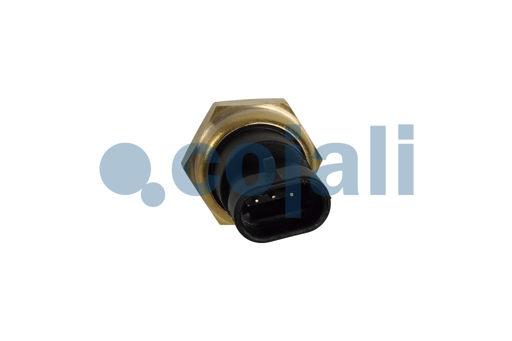 2263028 | 3408607 | OIL PRESSURE SENSOR - Cojali Parts