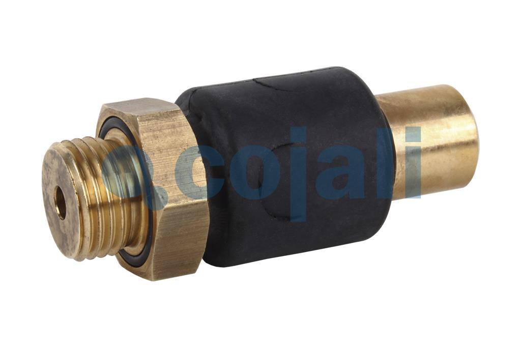 2280113 | 4346082260 | SAFETY VALVE - Cojali Parts