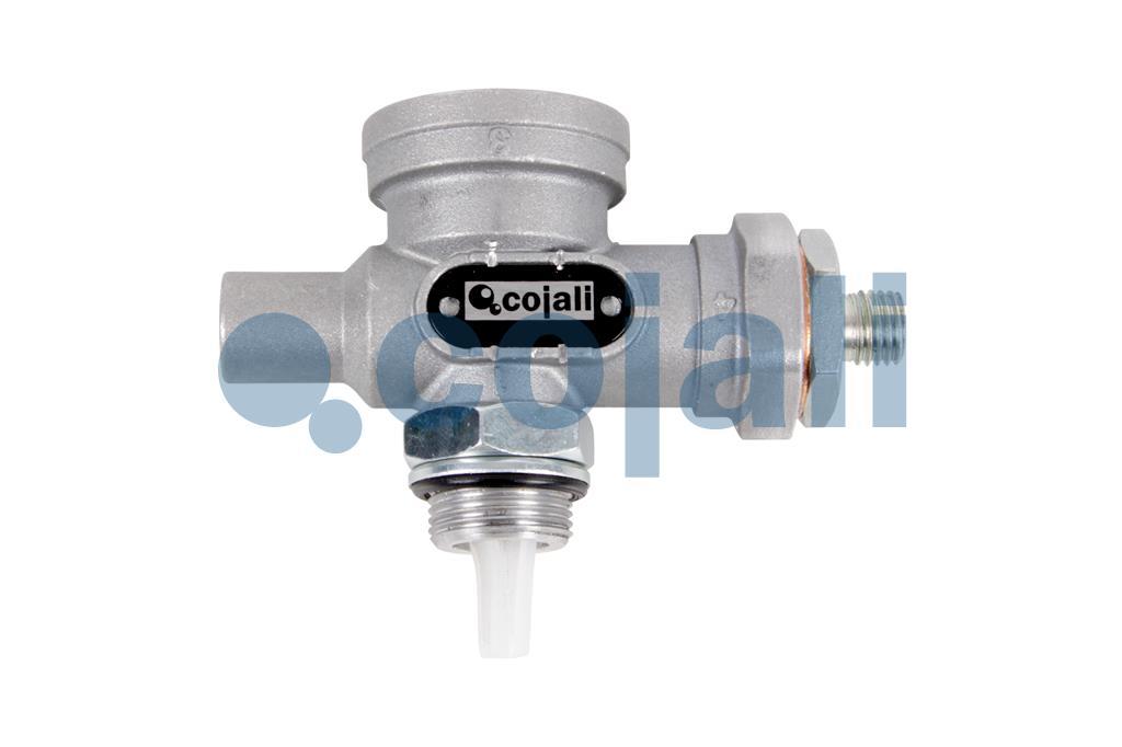 2308400 | EE4106 | DRAIN VALVE - Cojali Parts