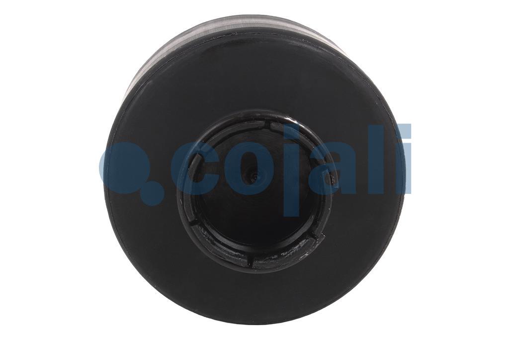2310001 | ZB3163 | SILENCER - Cojali Parts
