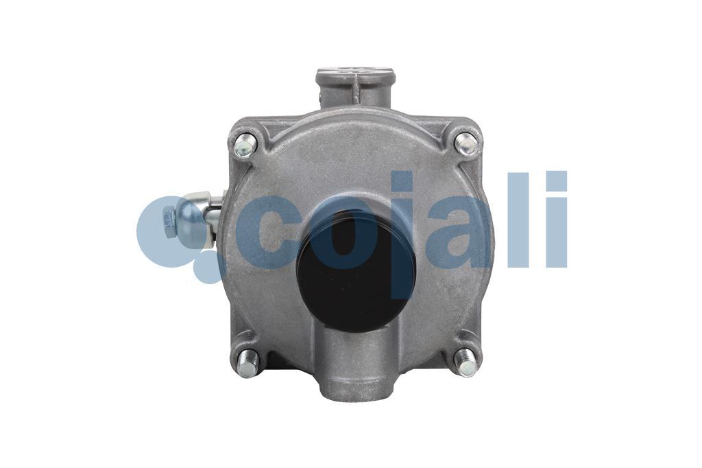 2320225 | BR4445 | MECHANICAL LSV - Cojali Parts