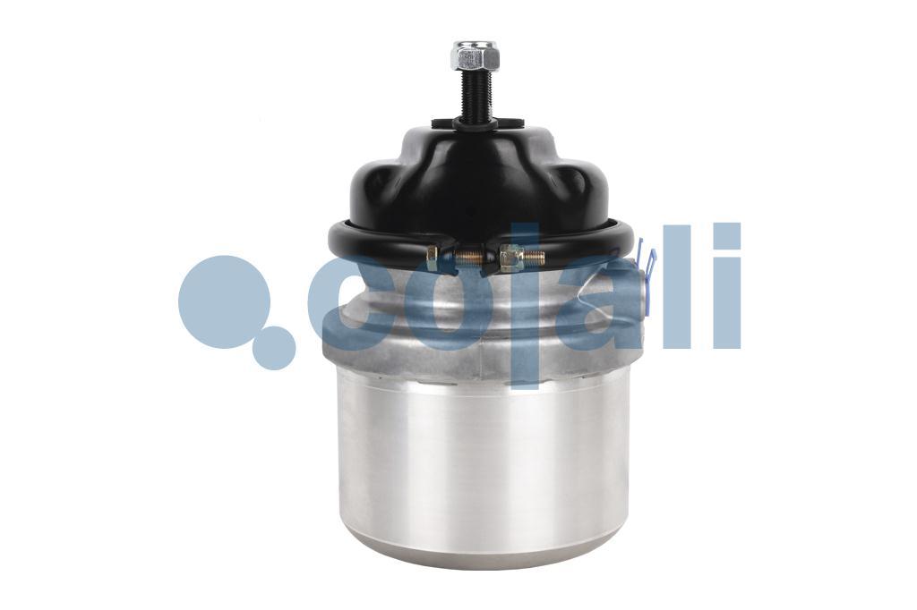 2351306 | BS9404 | SPRING BRAKE (DISC BRAKE) 20/24 - Cojali Parts