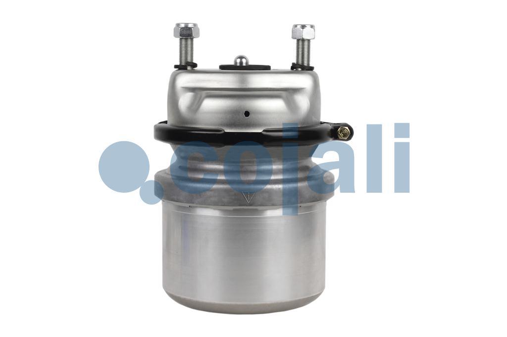 2351318 | BS8460 | SPRING BRAKE (DISC BRAKE) 22/24 - Cojali Parts