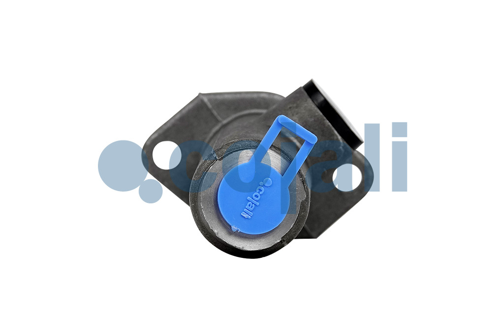 2556018 | 626159AM | MASTER CYLINDER - Cojali Parts