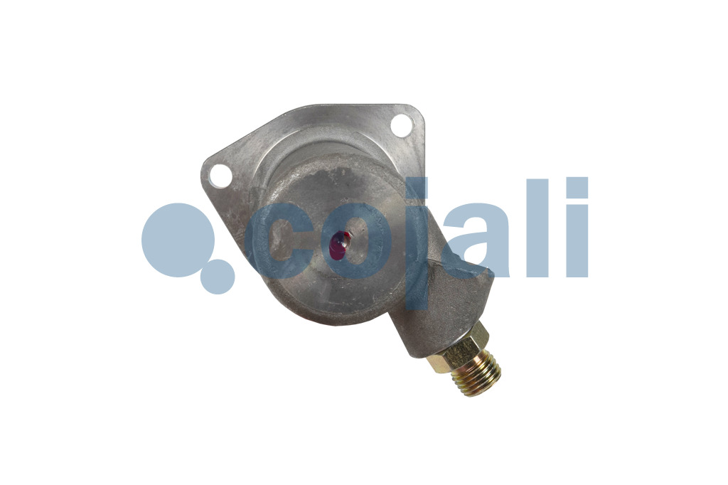 2556024 | 1754943 | MASTER CYLINDER - Cojali Parts