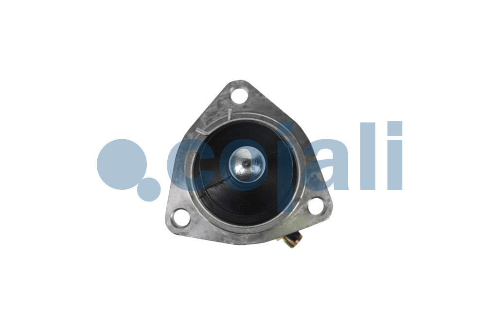 2556024 | 1754943 | MASTER CYLINDER - Cojali Parts