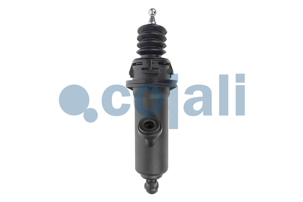 2556030 | 81307156152 | MASTER CYLINDER - Cojali Parts