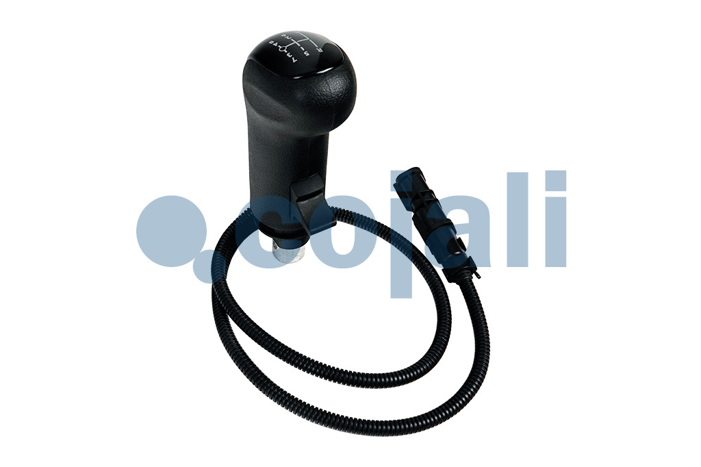 2816020 | 81326200055 | GEARBOX KNOB - Cojali Parts