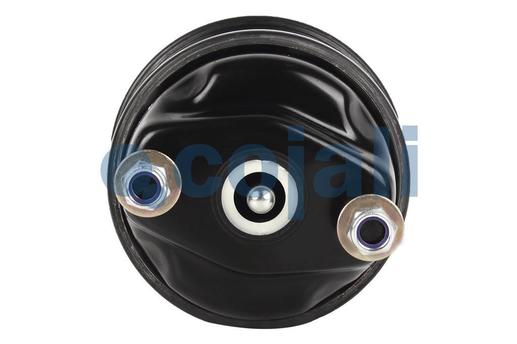 2851116 | 41229075 | DOUBLE DIAPHRAGM SPRING BRAKE (DISC BRAKE) 24/24 ...