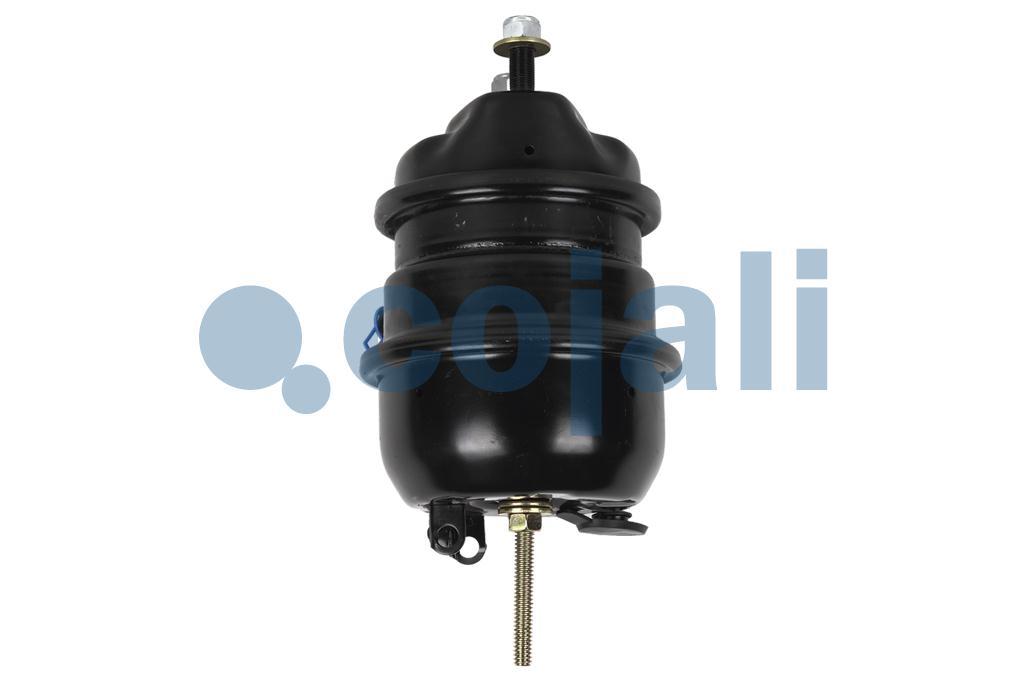 2851121 | 41229070 | DOUBLE DIAPHRAGM SPRING BRAKE (DISC BRAKE) 22/24 ...