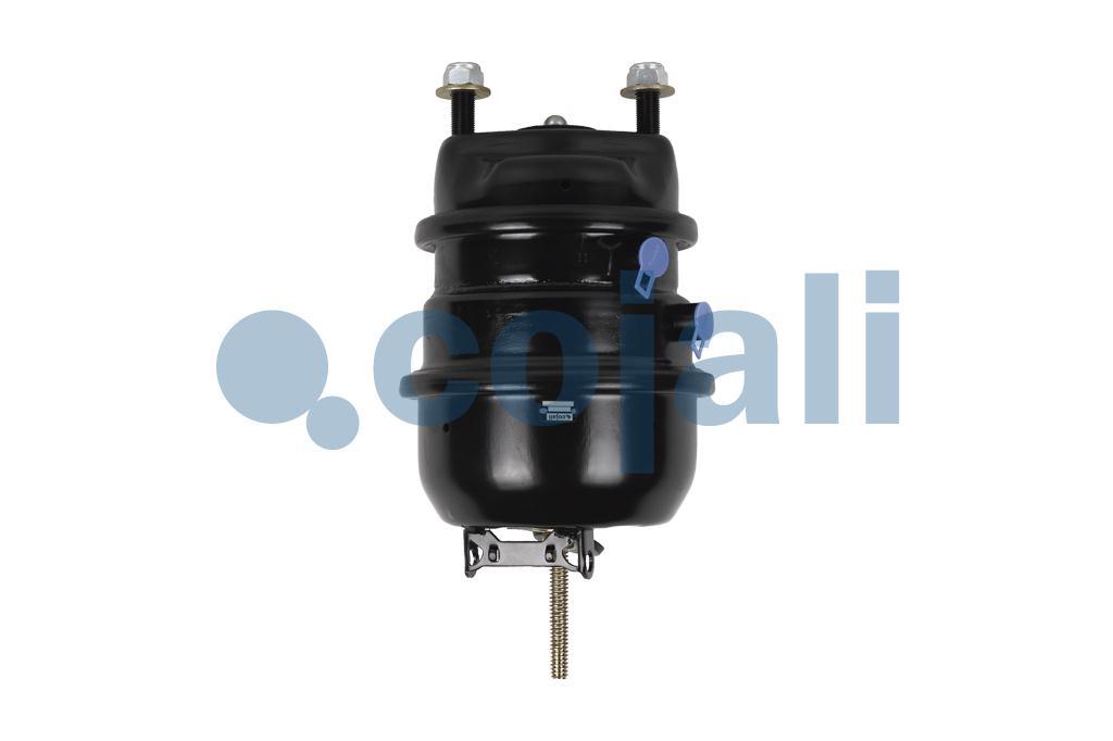 2851123 | 41229074 | DOUBLE DIAPHRAGM SPRING BRAKE (DISC BRAKE) 24/24 ...