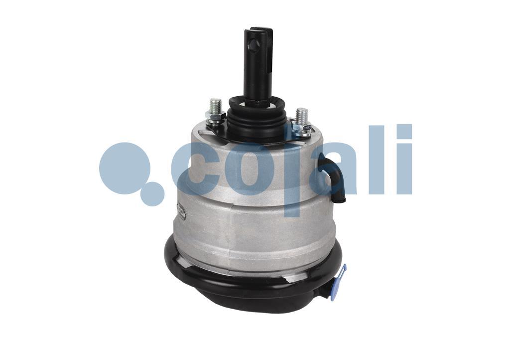 2851400 | 1186753XU | SPRING BRAKE (REMOTE) T-51 - Cojali Parts