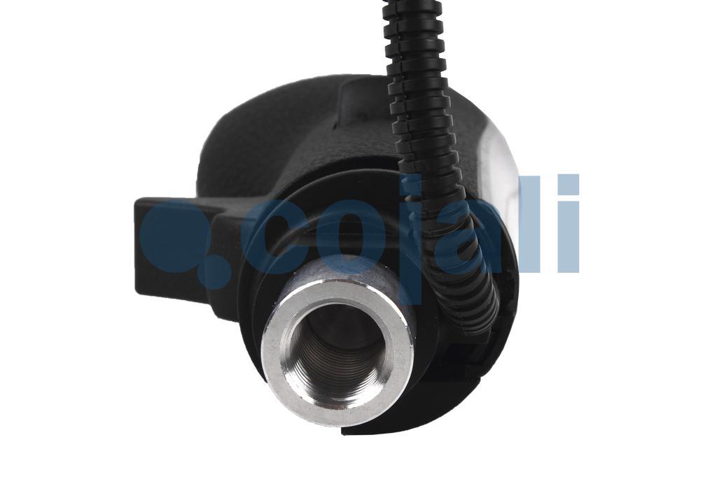 2880186 | 81326200045 | GEARBOX KNOB - Cojali Parts