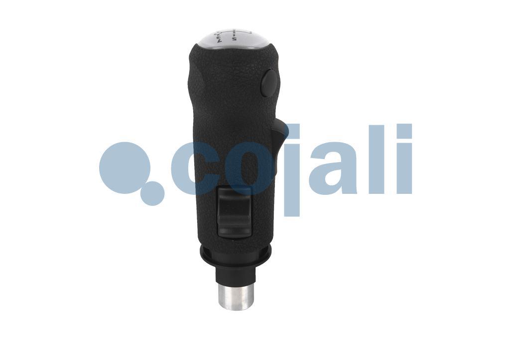 2880187 | 81326200091 | GEARBOX KNOB - Cojali Parts