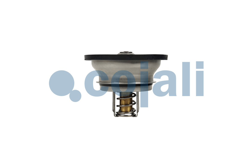 2880274 | 21613426 | THERMOSTAT - Cojali Parts