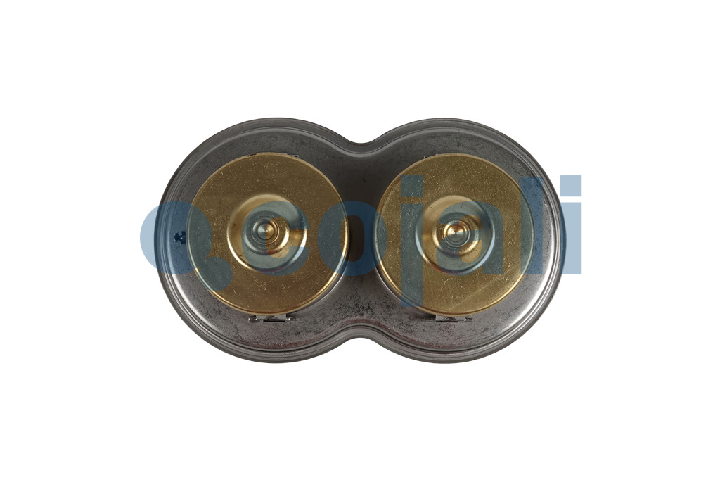 2880278 | 1404925 | THERMOSTAT - Cojali Parts