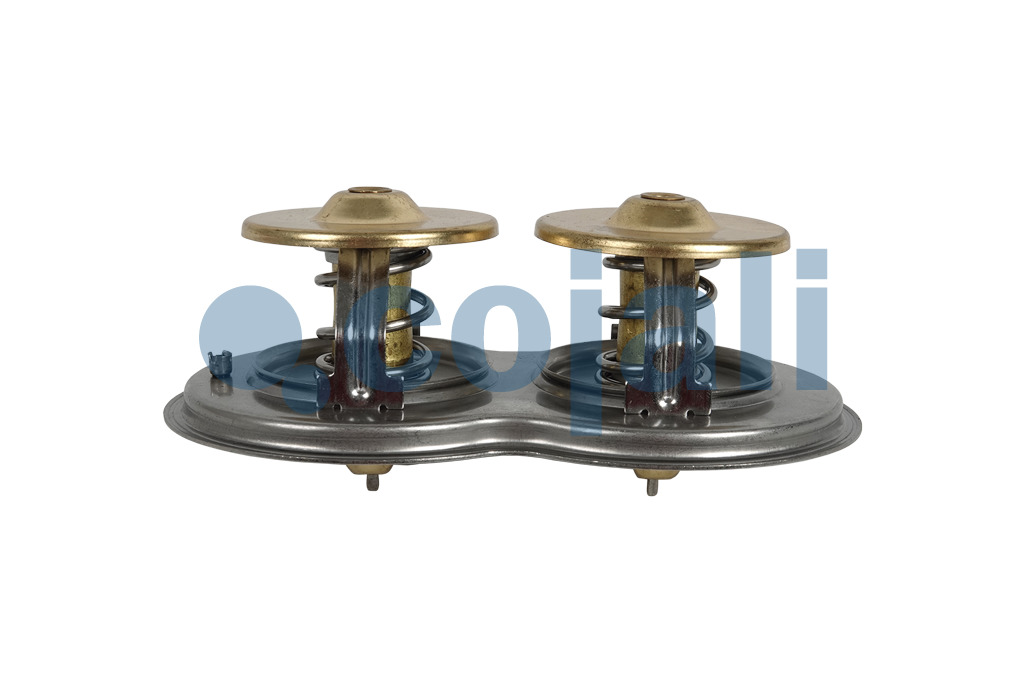 2880278 | 1404925 | THERMOSTAT - Cojali Parts
