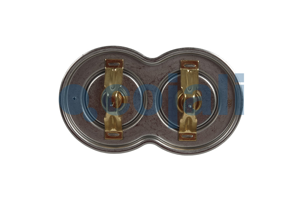 2880278 | 1404925 | THERMOSTAT - Cojali Parts